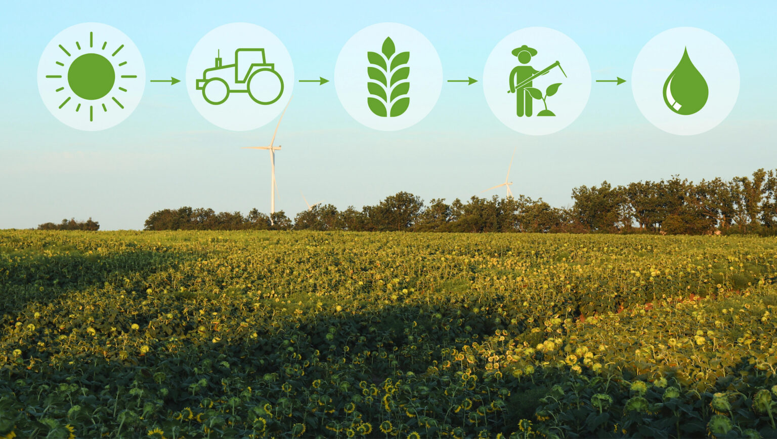 ESG and SDGs in Food Supply Chain using Blockchain Technology – Trust Food