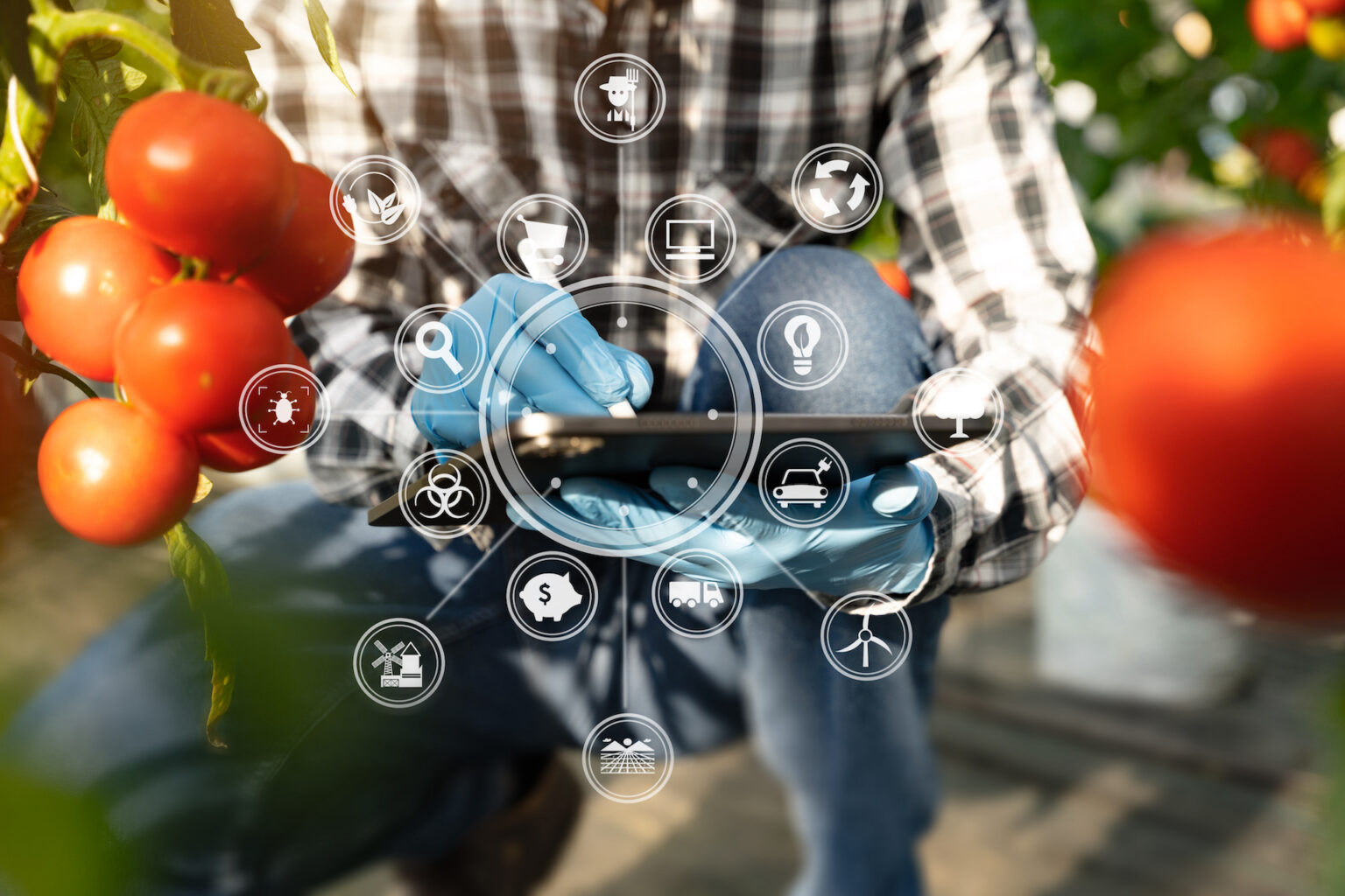 Roadmap for the use of Blockchain Technologies in the Food Supply ...